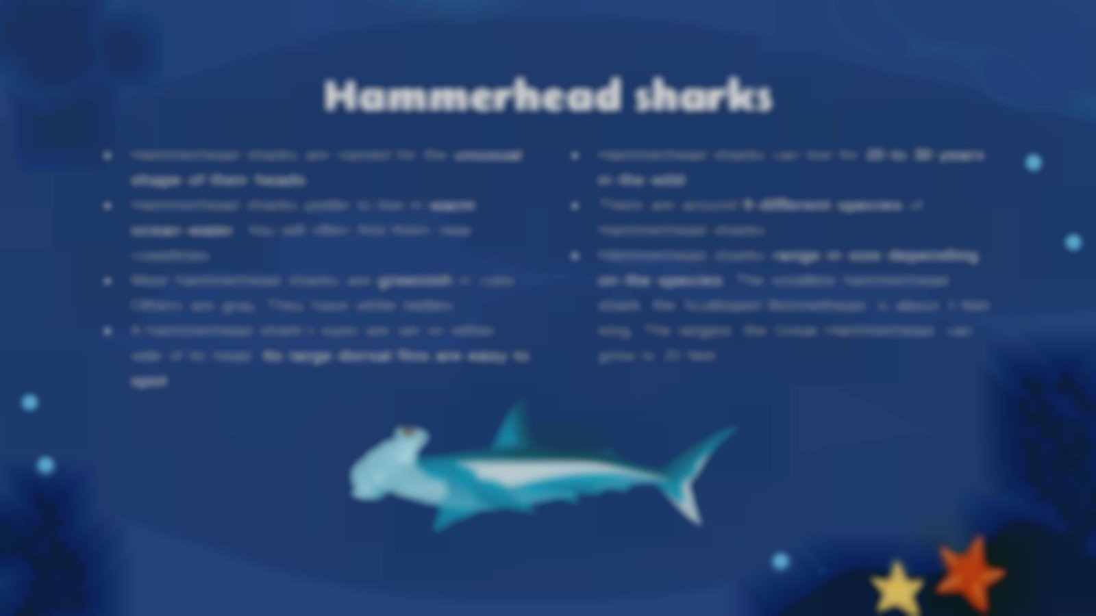 Sharks Presentation