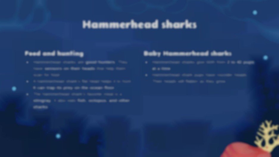 Sharks Presentation