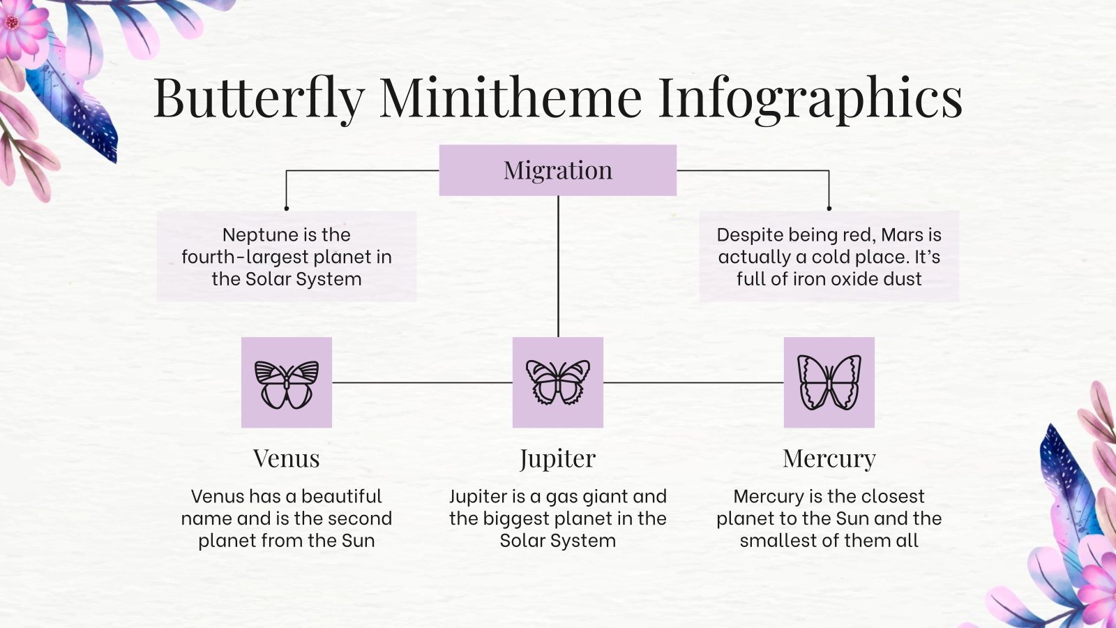 Butterfly Minitheme Infographics Template