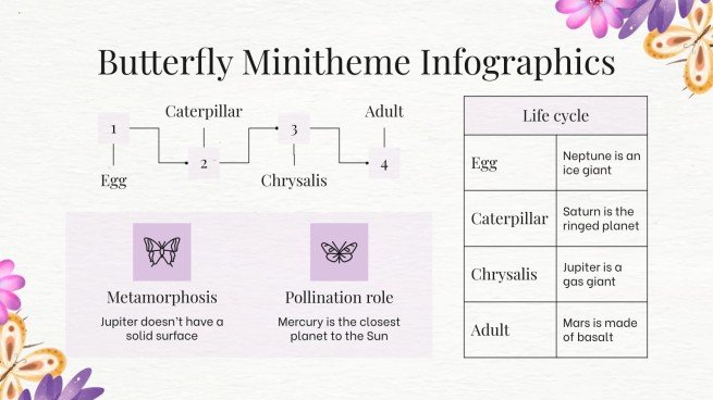 Butterfly Minitheme Infographics Template