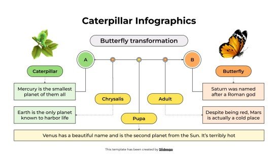 Caterpillar Infographics Template