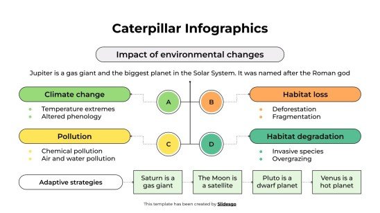 Caterpillar Infographics Template