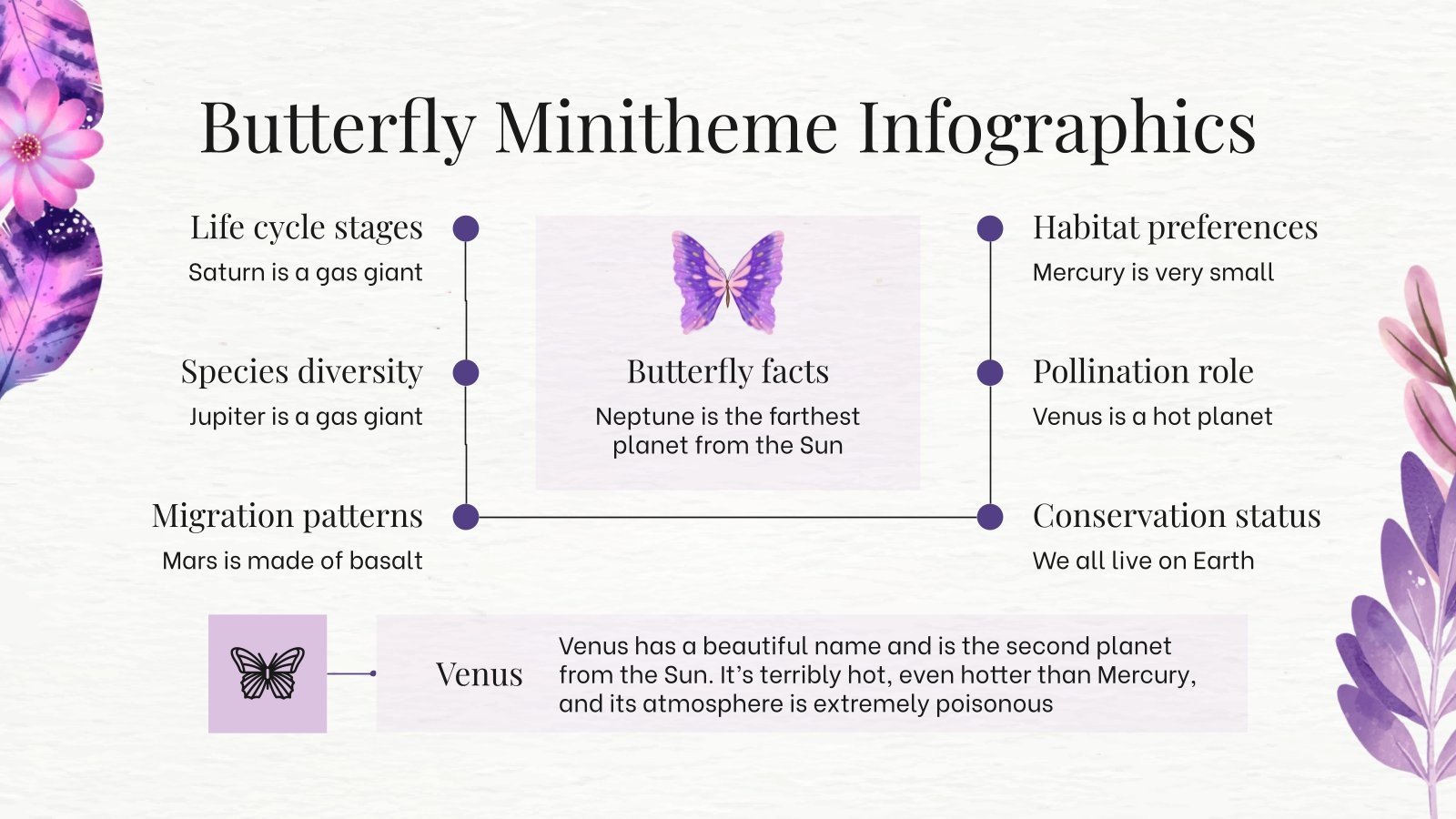 Butterfly Minitheme Infographics Template