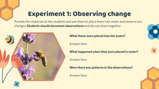 Bee Theme for Elementary Presentation