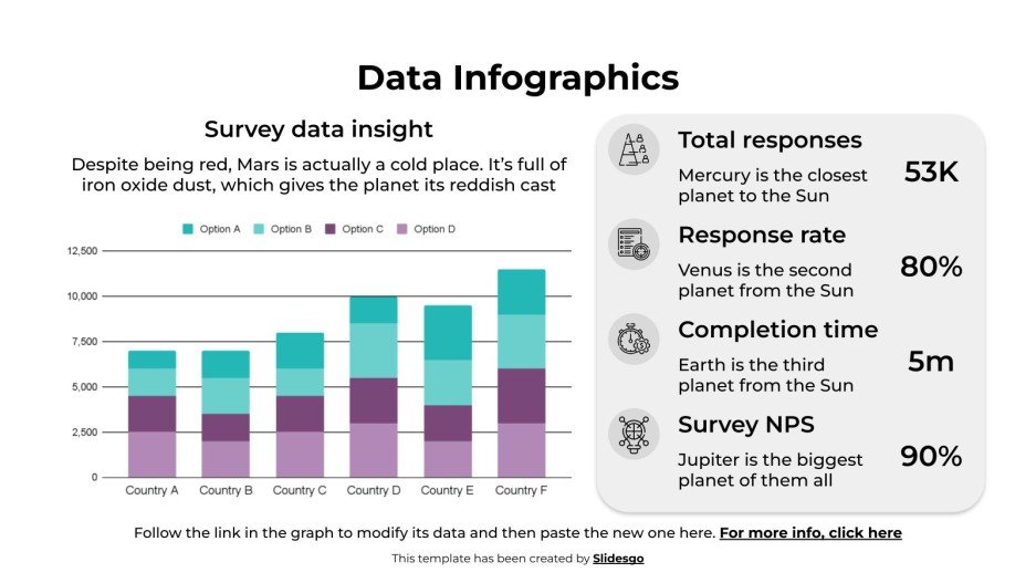 Data Infographics Template