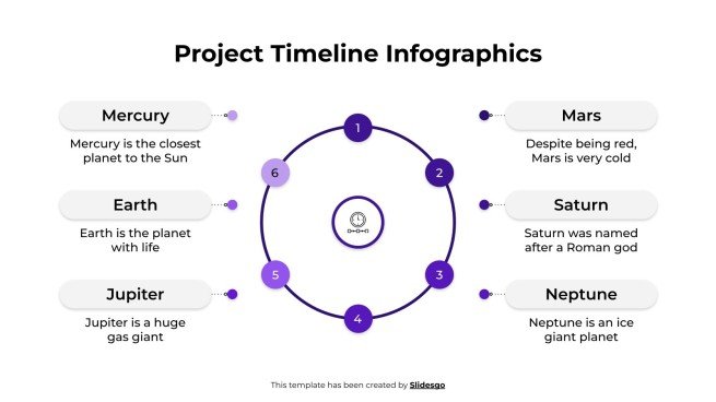 Project Timeline Infographics Template
