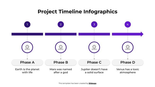 Project Timeline Infographics Template