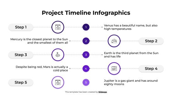 Project Timeline Infographics Template