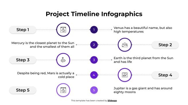 Project Timeline Infographics Template