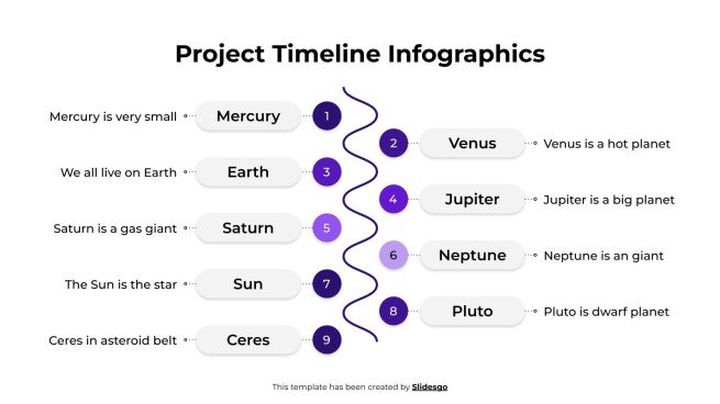 Project Timeline Infographics Template