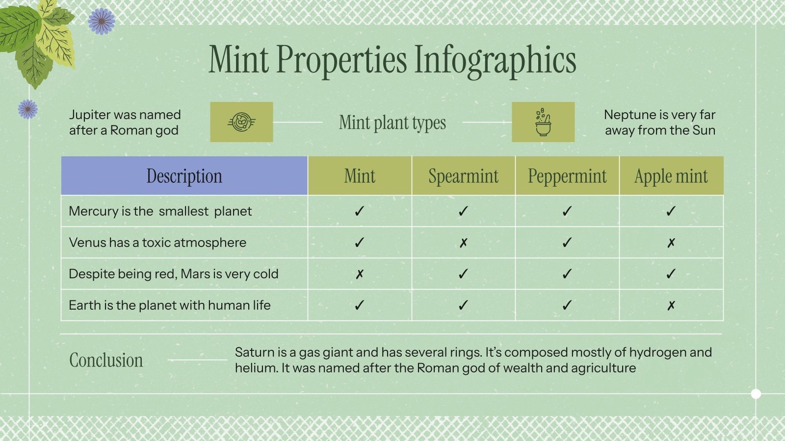 Mint Properties Infographics Template