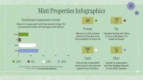 Mint Properties Infographics Template