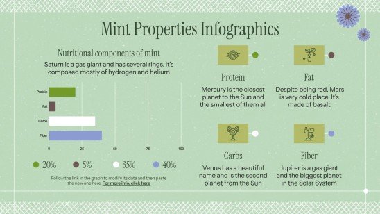 Mint Properties Infographics Template