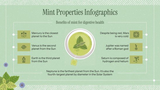 Mint Properties Infographics Template