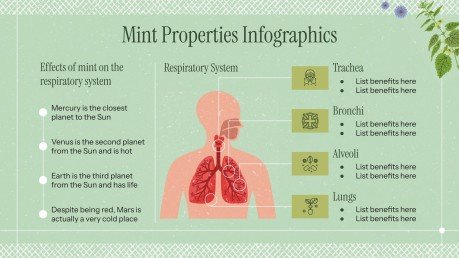 Mint Properties Infographics Template