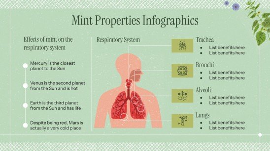 Mint Properties Infographics Template