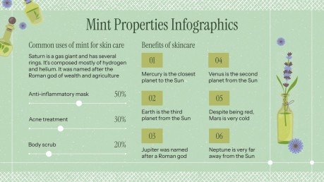 Mint Properties Infographics Template