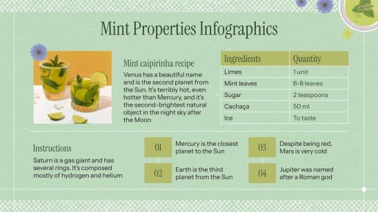 Mint Properties Infographics Template