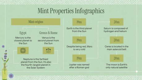 Mint Properties Infographics Template