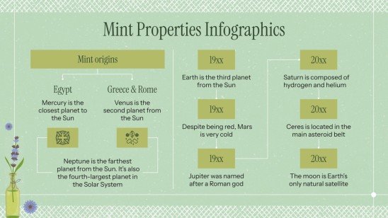 Mint Properties Infographics Template