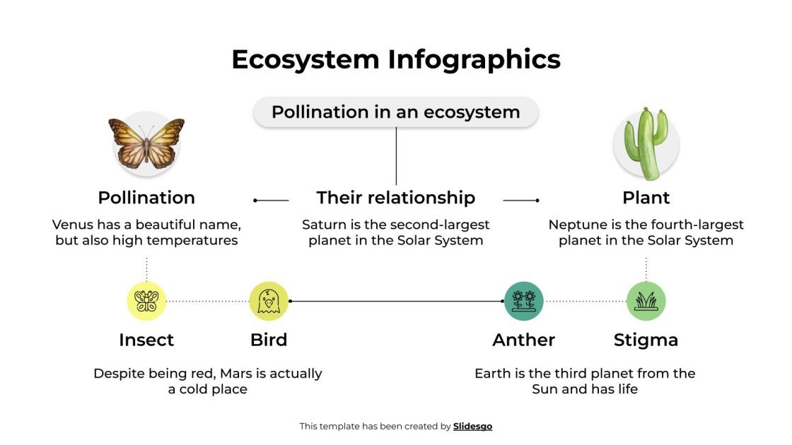 Ecosystem Infographics Template