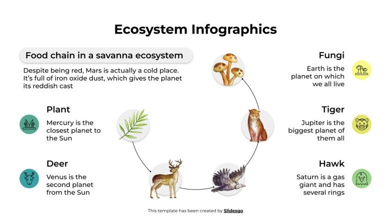 Ecosystem Infographics Template