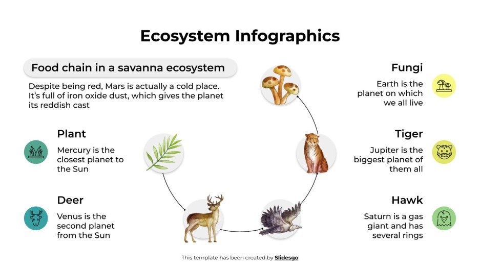 Ecosystem Infographics Template
