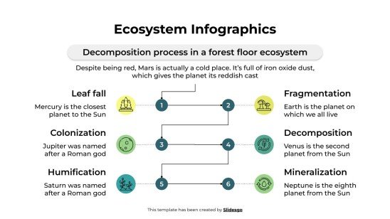 Ecosystem Infographics Template