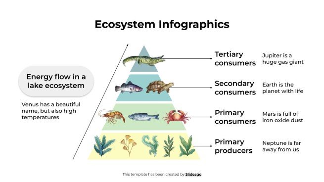 Ecosystem Infographics Template