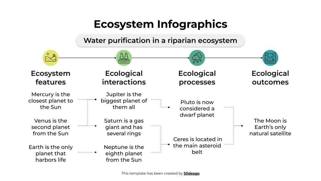 Ecosystem Infographics Template