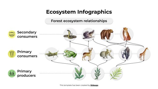 Ecosystem Infographics Template