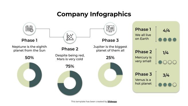 Company Infographics Template