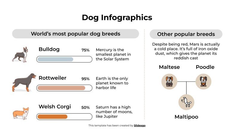 Dog Infographics Template
