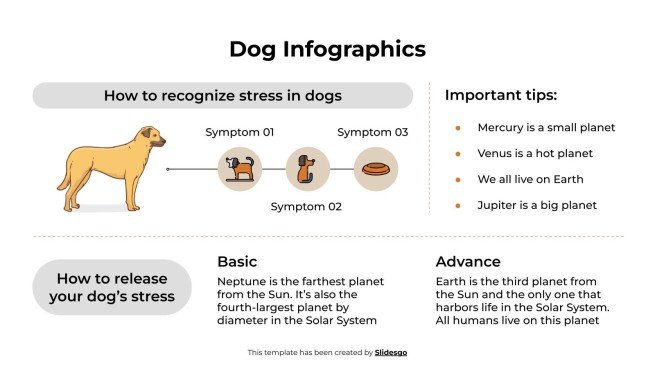 Dog Infographics Template