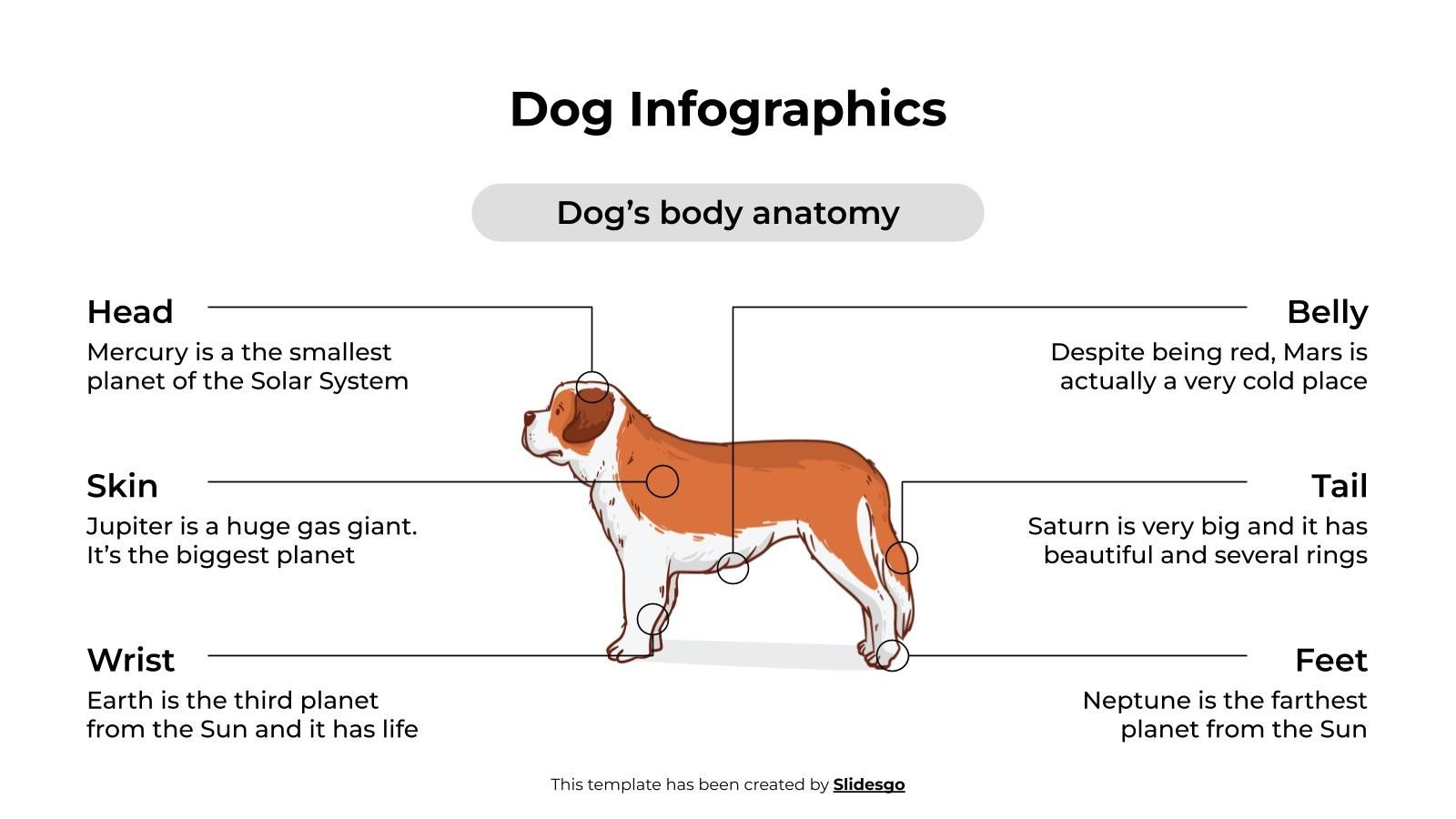 Dog Infographics Template