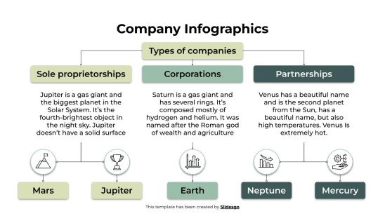 Company Infographics Template