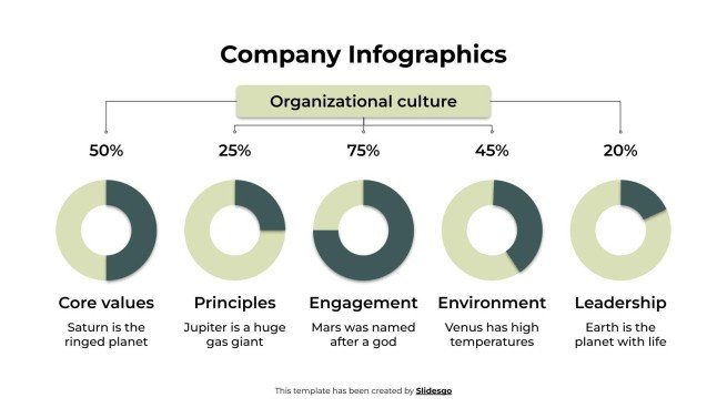 Company Infographics Template