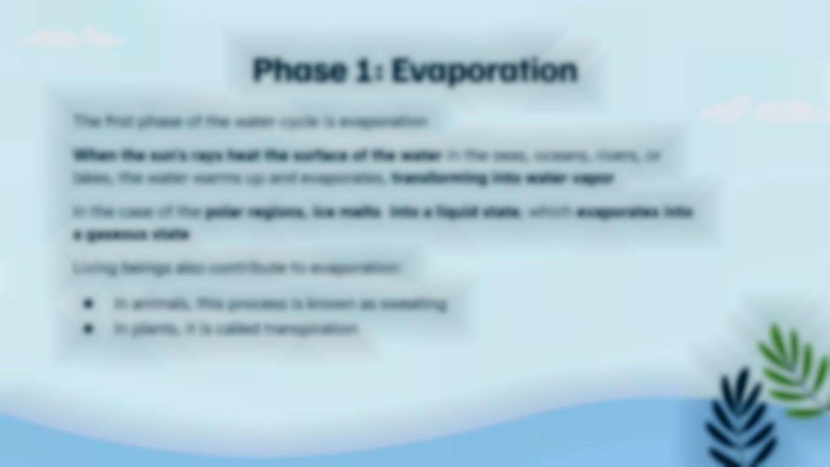 Water Cycle Presentation