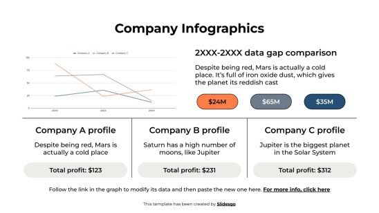 Company Infographics Template