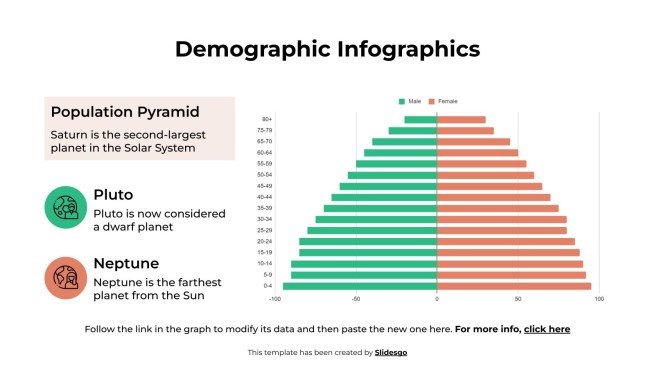 Demographic Infographics Template