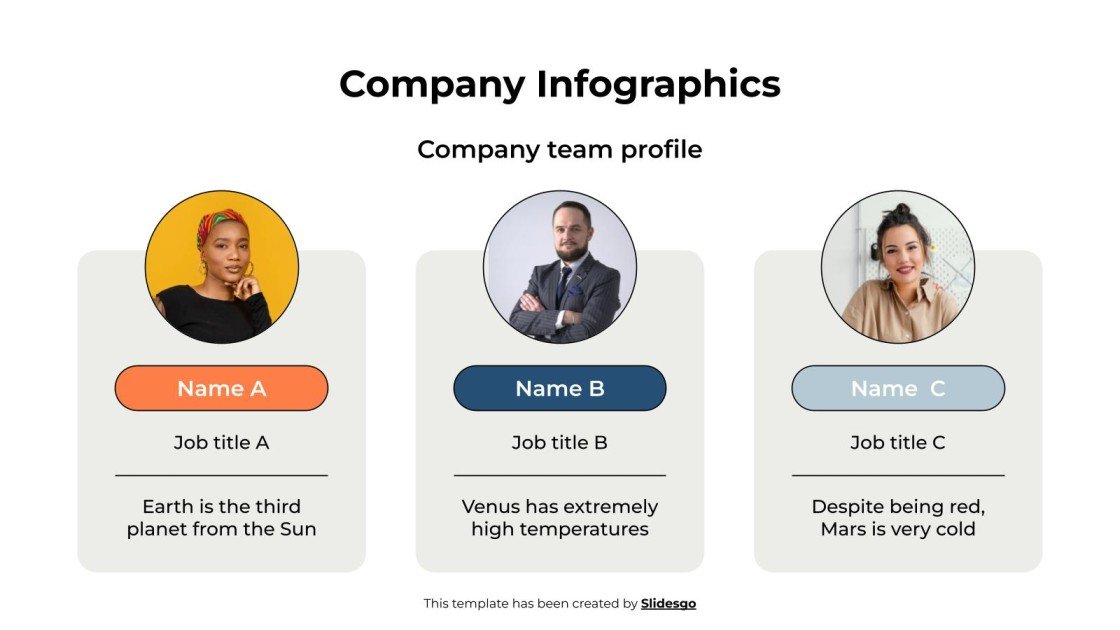 Company Infographics Template