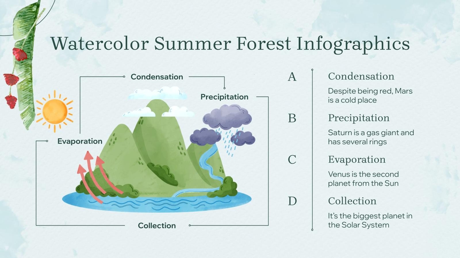 Watercolor Summer Forest Aesthetic Creative Infographics