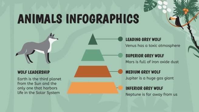 Science Subject for Pre-K: Investigate Animals Infographics