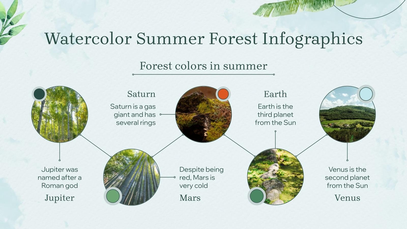 Watercolor Summer Forest Aesthetic Creative Infographics