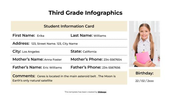 Third Grade Infographics Presentation