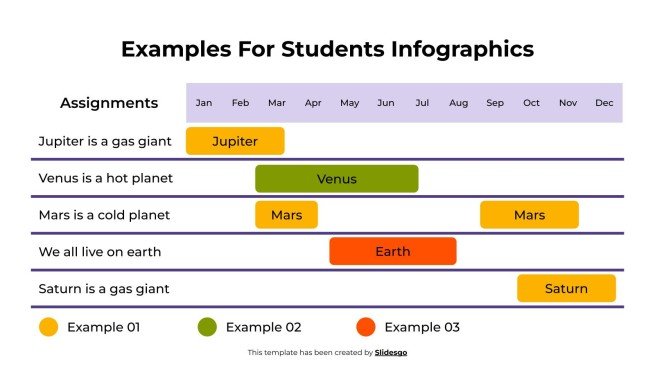 Examples For Students Infographics Template