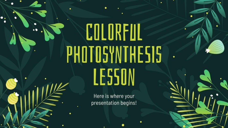 Colorful Photosynthesis Lesson Presentation