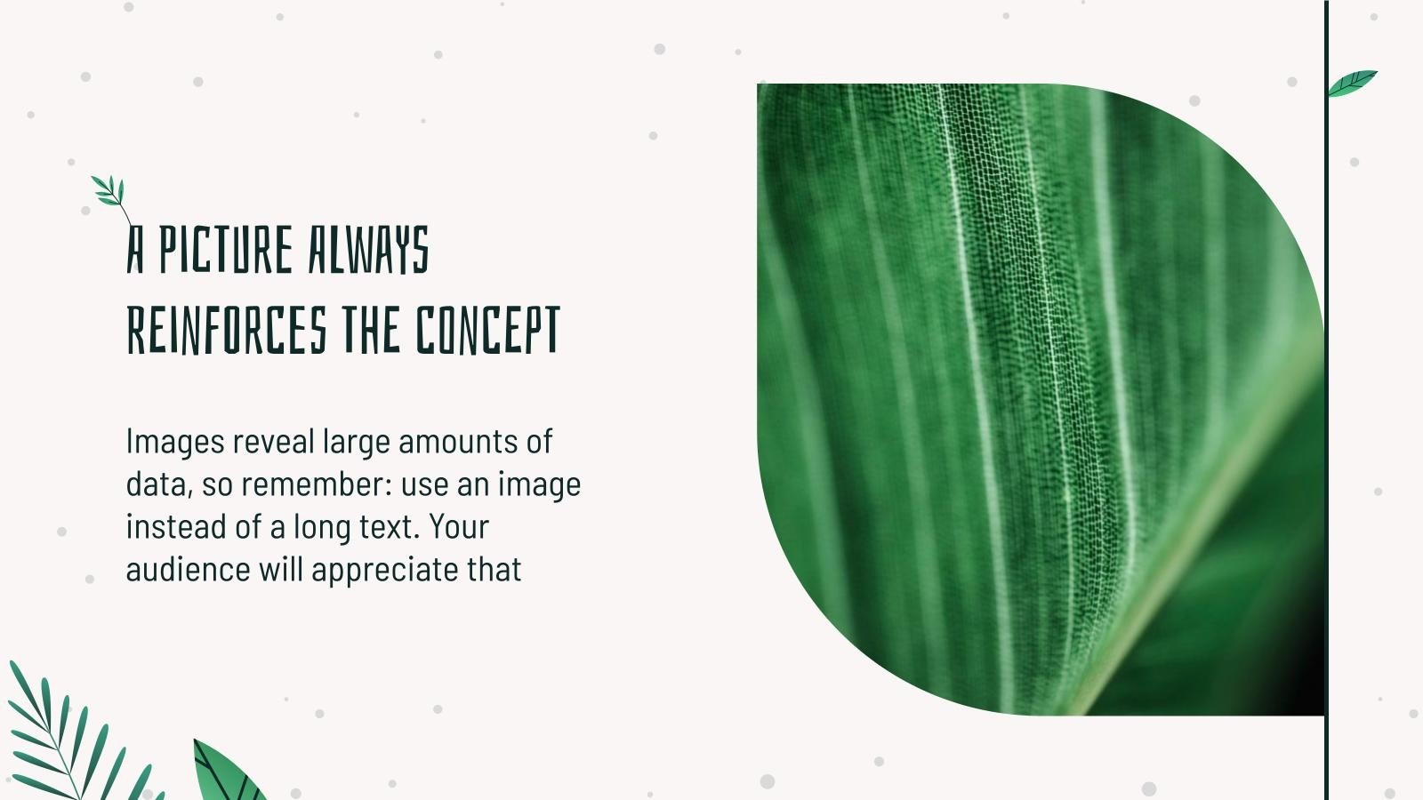 Colorful Photosynthesis Lesson Presentation