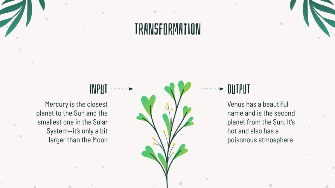 Colorful Photosynthesis Lesson Presentation