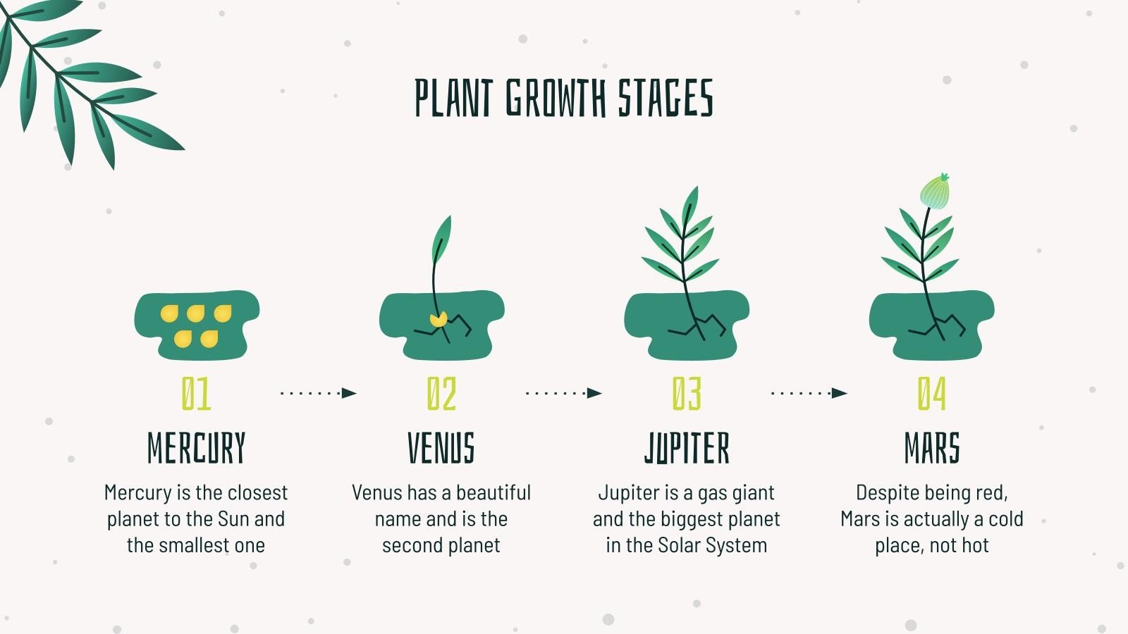 Colorful Photosynthesis Lesson Presentation